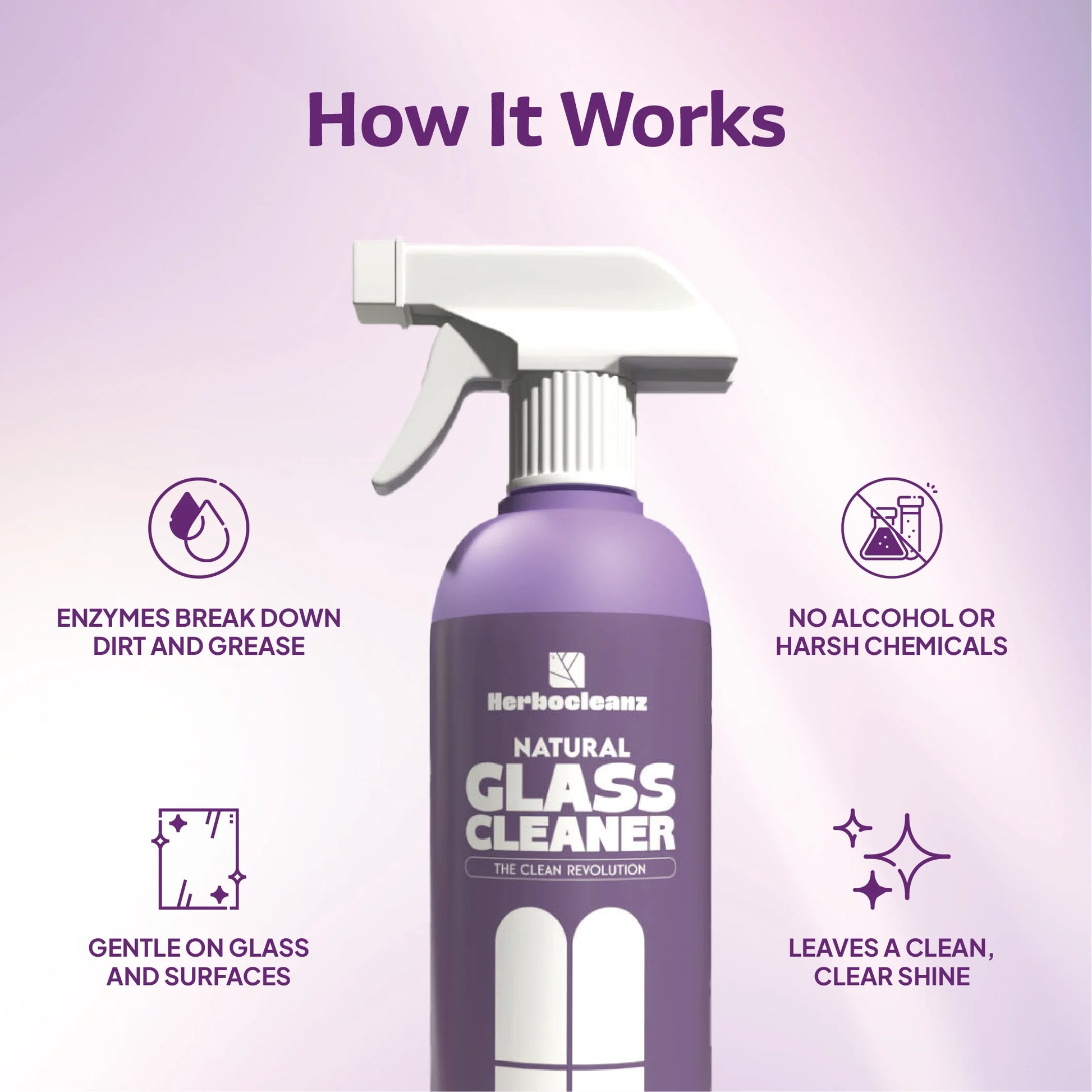 Natural Glass Cleaner – Herbocleanz